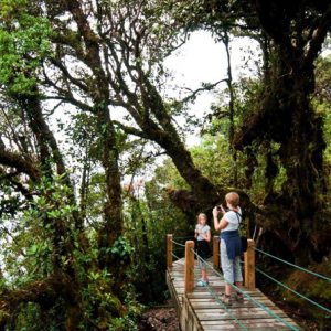 Strawberry Park – Where Holidays Are Forever